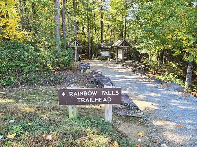 The Rainbow Falls Trailhead marks the beginning of your adventure, where comfortable shoes become your best friends for the journey ahead.