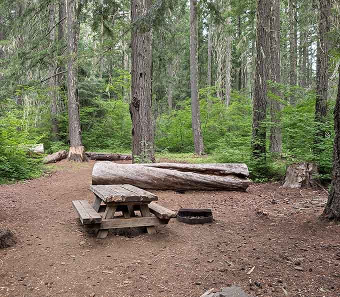 Your picnic spot comes with towering trees and the knowledge that a frozen wonderland waits just steps away.