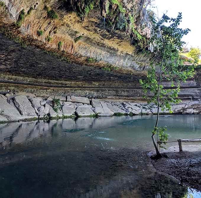 The limestone shelf provides front-row seating to one of geology's greatest performances, still running after countless centuries.
