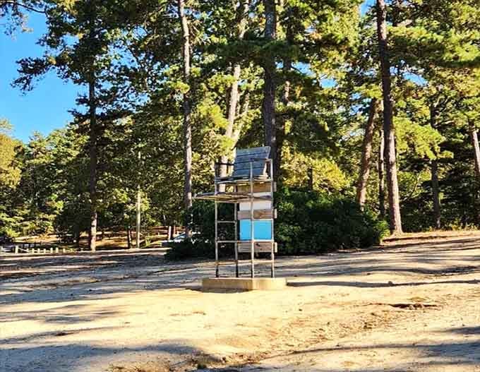 That lifeguard stand means you can relax while the kids swim, a rare parenting victory.