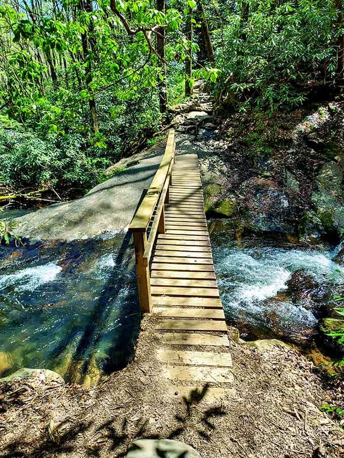 This footbridge over rushing water makes you feel like you're in an adventure movie's opening scene.
