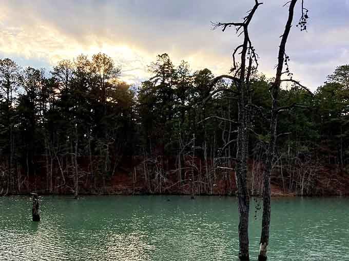 Golden hour transforms the lake into something from a fantasy novel, minus the dragons and elves.