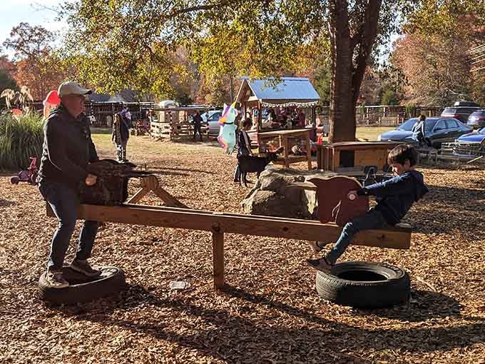 The playground where goats have mastered the teeter-totter better than most humans ever will, honestly impressive.