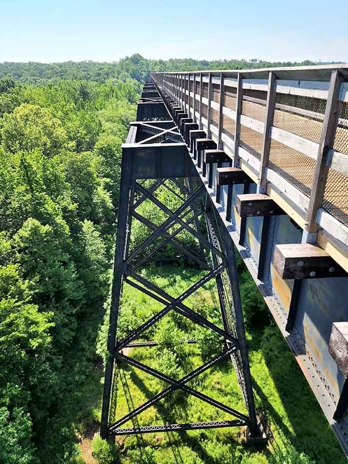 Those steel supports aren't just holding up a bridge, they're holding up your chance to see Virginia from a whole new perspective.