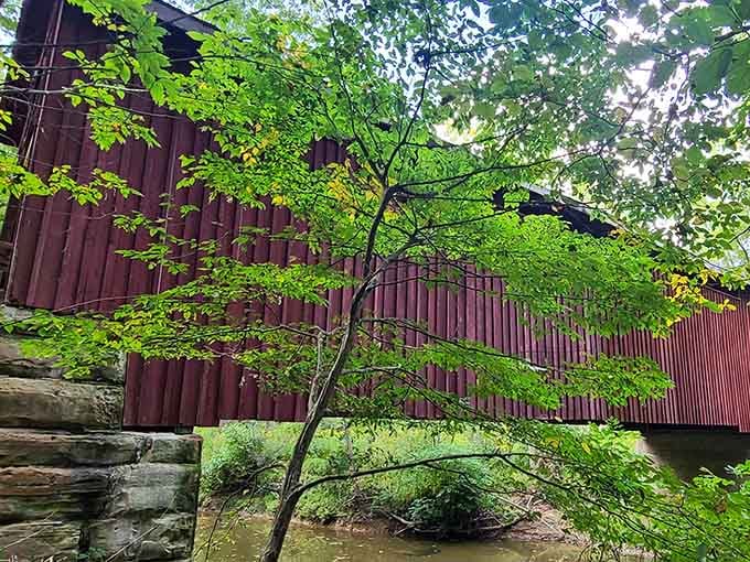 The creek below has been providing the soundtrack here longer than any streaming service has existed.