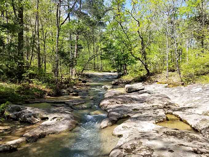The creek meanders through like it's got all the time in the world, because honestly, it does.