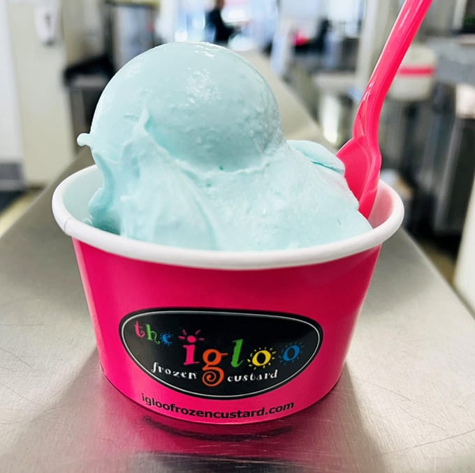 Blue raspberry sherbet this vibrant makes you wonder if happiness has a color and a flavor simultaneously.