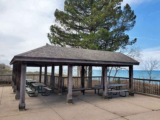 A covered pavilion where you can contemplate the lake while pretending you're in a nature documentary.