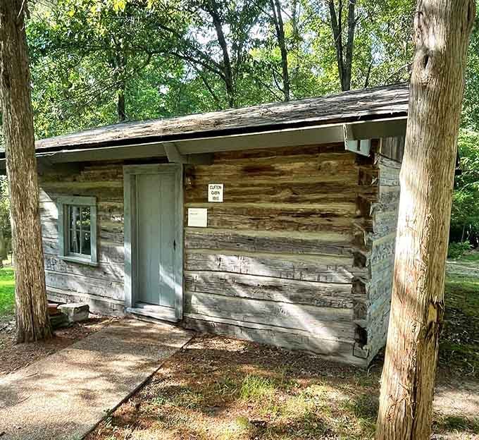 Sunlight filters through the trees onto this cabin where pioneers proved that less square footage meant more character.