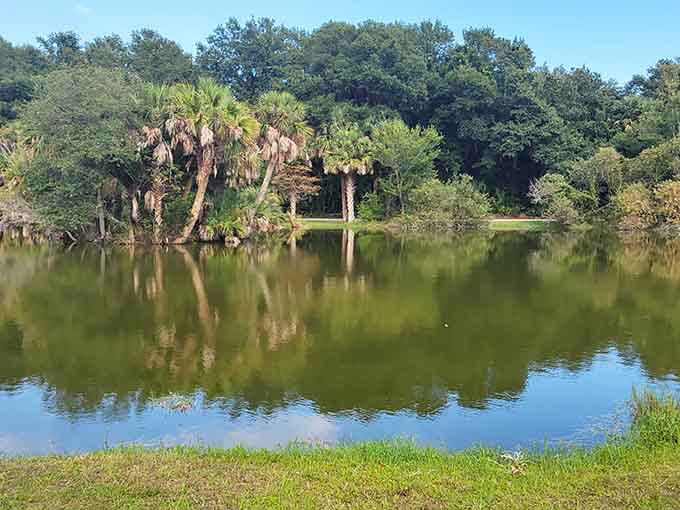 That freshwater lake sits there looking all serene, basically daring you to grab a kayak and explore those little islands.