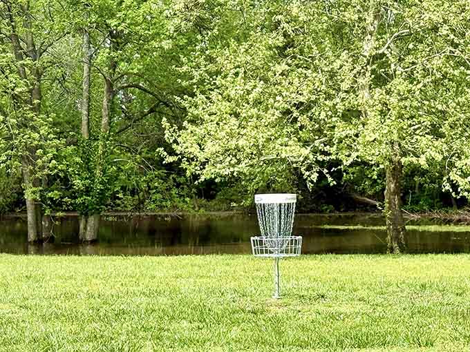 A disc golf basket sitting pretty beside the water. Even the geese would be impressed by the scenery.