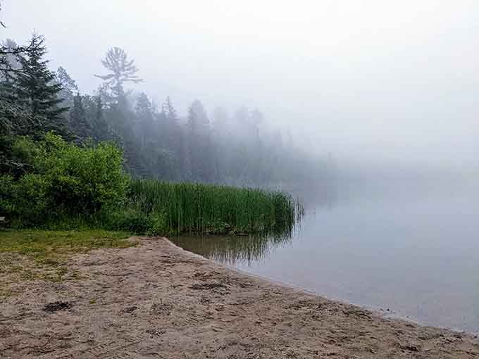 Morning mist transforms the shoreline into something from a Bob Ross painting, minus the happy little accidents.