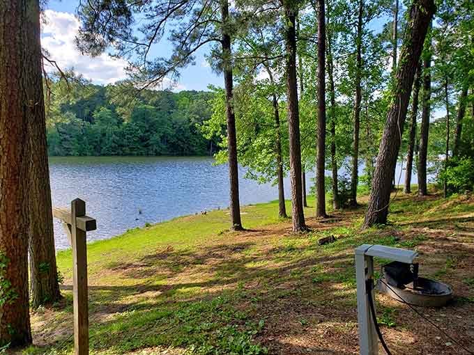 Lakeside camping under towering pines offers that perfect blend of wilderness and "I can still charge my phone."