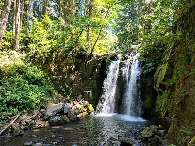 McDowell Creek Falls cascades through moss-covered rocks, offering nature's therapy just minutes from town.