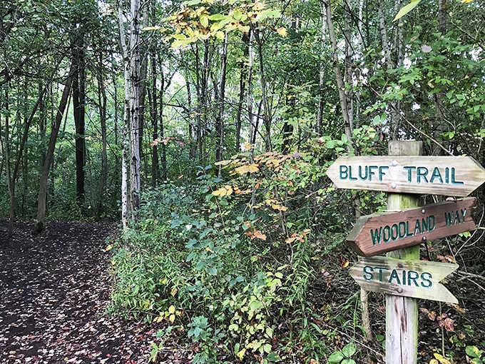 Trail signs pointing every which way, because choosing your own adventure never goes out of style, does it?