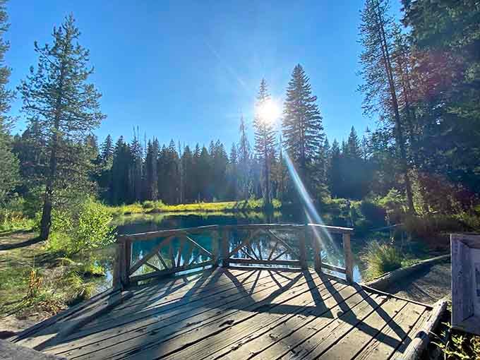 The viewing platform offers front-row seats to nature's most impressive water feature, no ticket required for this show.