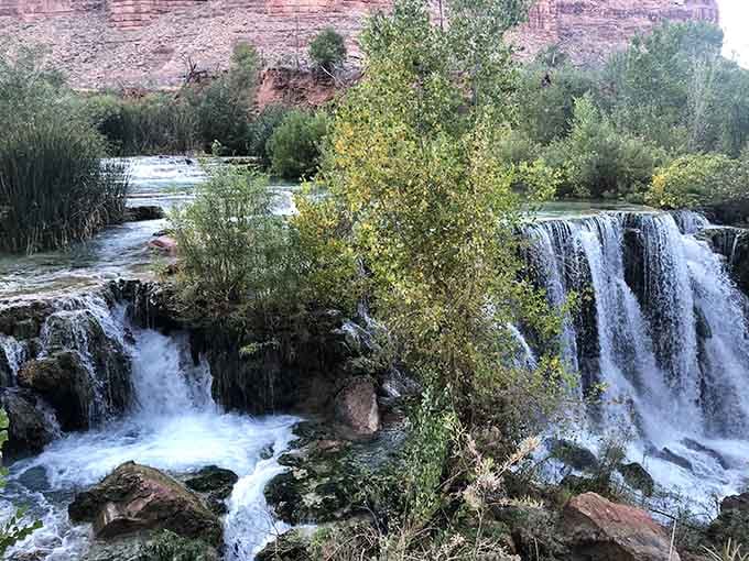 The lush vegetation thriving beside cascading water proves the desert has a spectacular sense of irony and drama.
