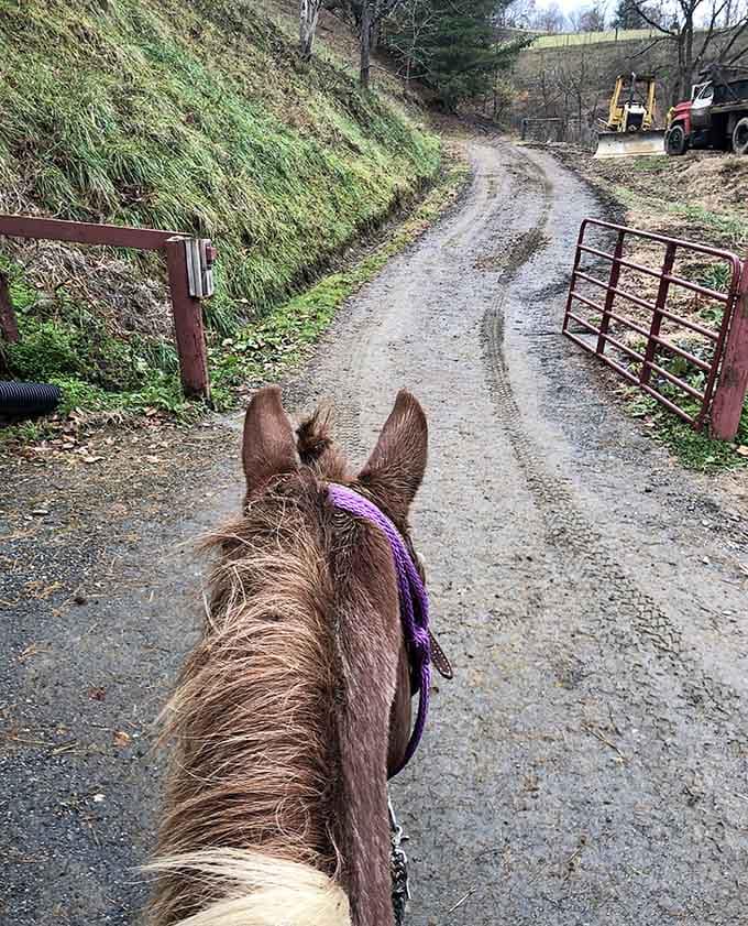 Even muddy paths can't diminish the adventure when you're riding toward hidden geological treasures in the mountains.
