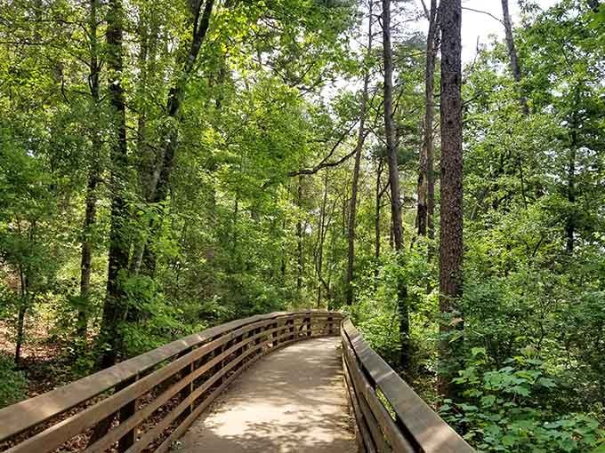 This peaceful boardwalk through the trees is nature's way of saying the journey matters as much as the destination.