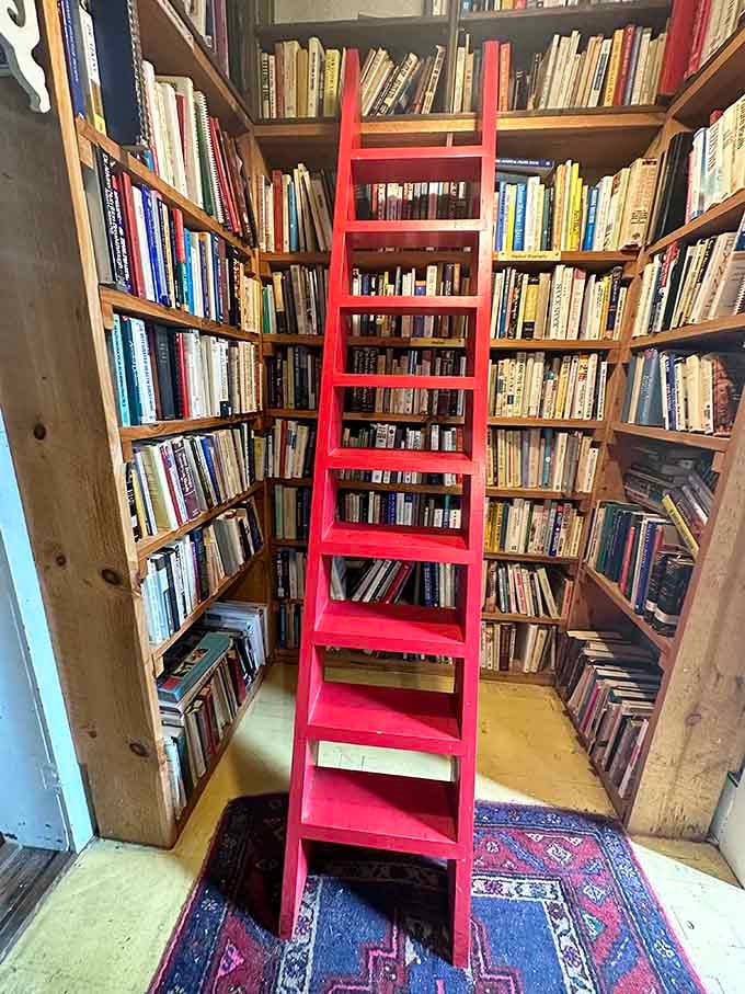 Climbing that red ladder feels like ascending to book heaven, where forgotten titles await their perfect reader.