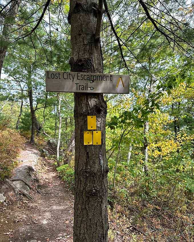 When the trail sign promises a "Lost City," it's not overselling&mdash;these formations deliver on every geological fantasy you didn't know you had.