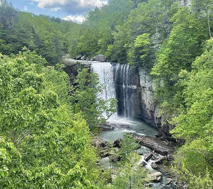Framed by spring greenery, this cascade proves Georgia's got more than just peaches going for it.
