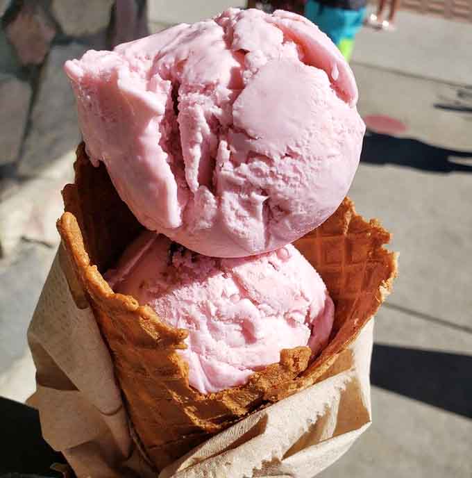 Black cherry ice cream that looks like it was scooped straight from a Norman Rockwell painting of perfection.