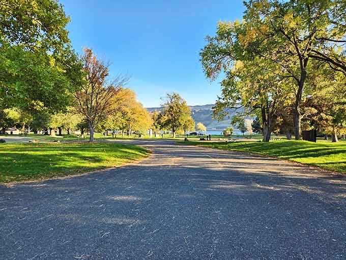 Tree-lined paths leading to river views that make you wonder why you don't visit more often.