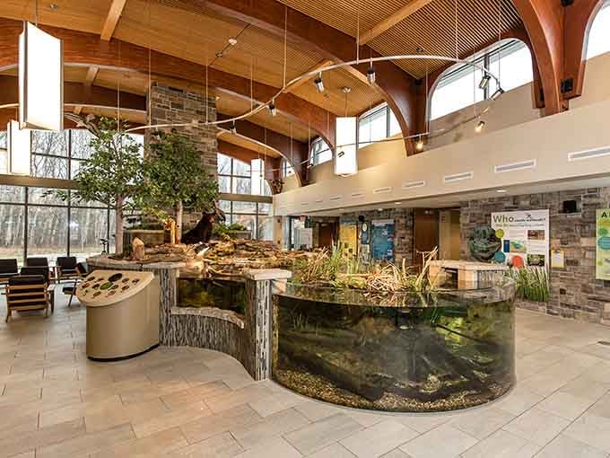 This nature center's soaring timber beams and indoor aquarium bring the outdoors in without the mosquitoes.