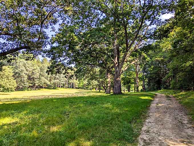 These sun-dappled meadows are perfect for picnicking, daydreaming, or pretending you're in a Jane Austen novel adaptation.