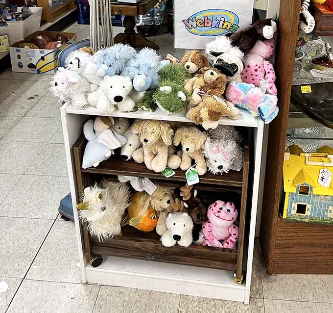 Webkinz plushies proving that even relatively recent nostalgia finds a home in this treasure trove of memories.