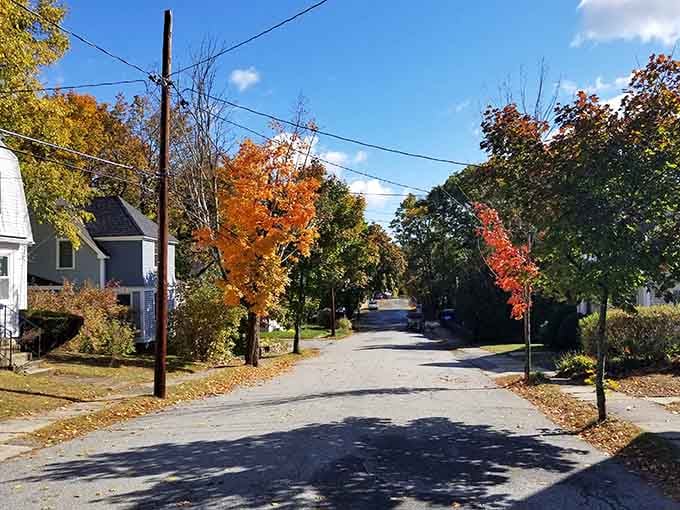Tree-lined streets in autumn remind you why New England invented the concept of "leaf peeping" in the first place.
