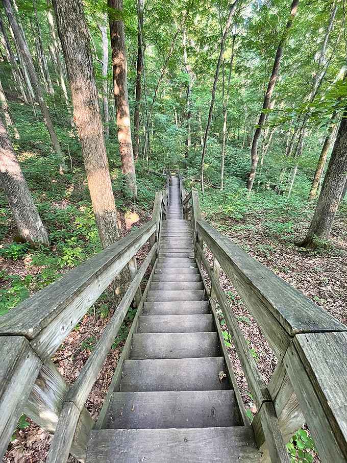 These stairs are your ticket to views that'll make your Instagram followers actually jealous for once.