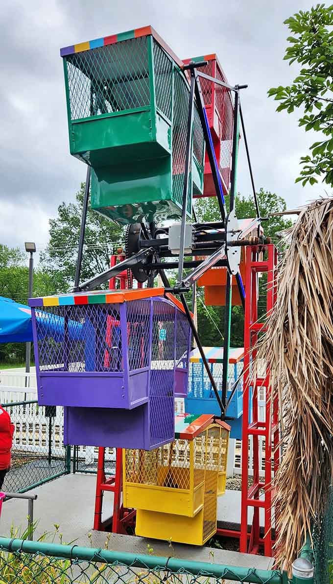 Those rainbow-bright gondolas offer sky-high thrills at a height that won't give grandma a heart attack.