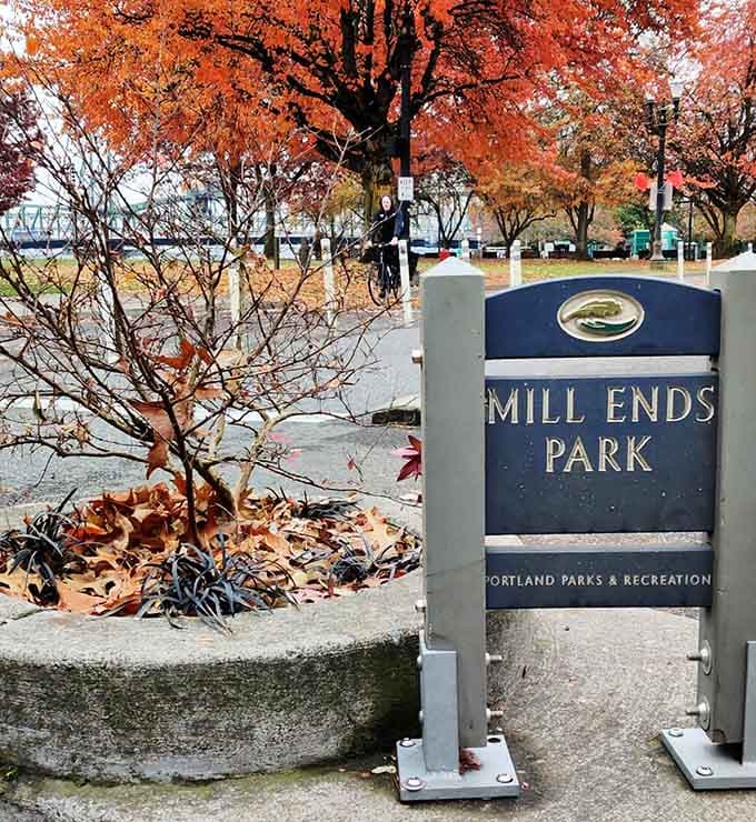 Autumn leaves frame the park beautifully, proving that even the tiniest green spaces deserve their moment in fall's golden light.