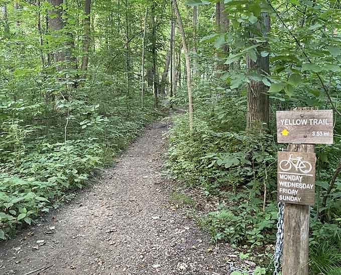Yellow Trail beckons hikers into the woods, offering peaceful escapes when you need a breather from civilization.