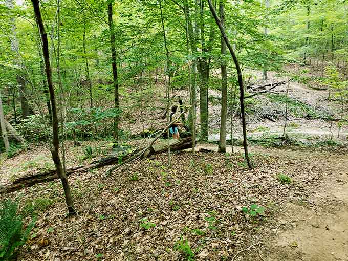 Nature trails wind through greenery so lush it makes your houseplants look embarrassed.