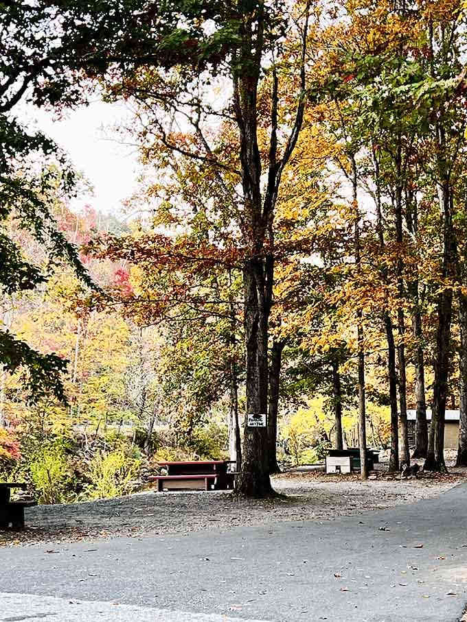 Even waterfalls need a proper parking lot with picnic tables, because adventure requires a decent starting point and snacks.