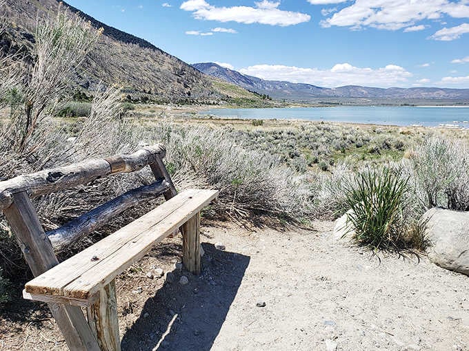 Even the benches here come with million-dollar views of the lake and surrounding mountains.