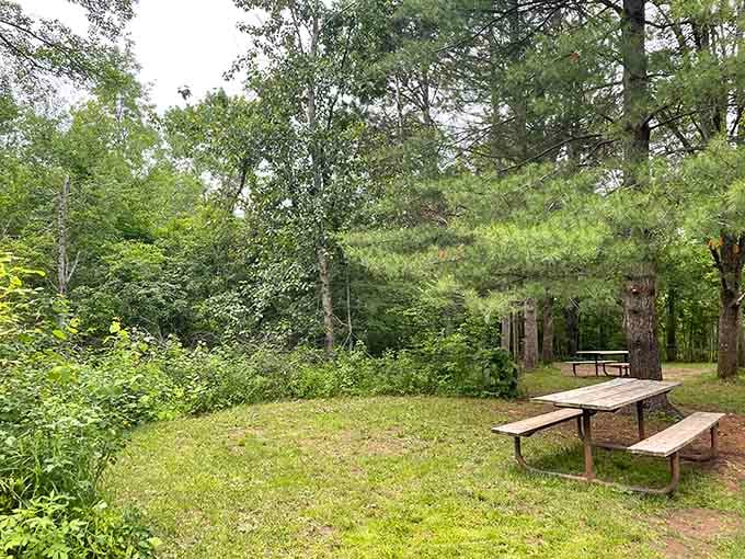 Your perfect picnic spot awaits under towering pines, where the only traffic is an occasional curious squirrel.
