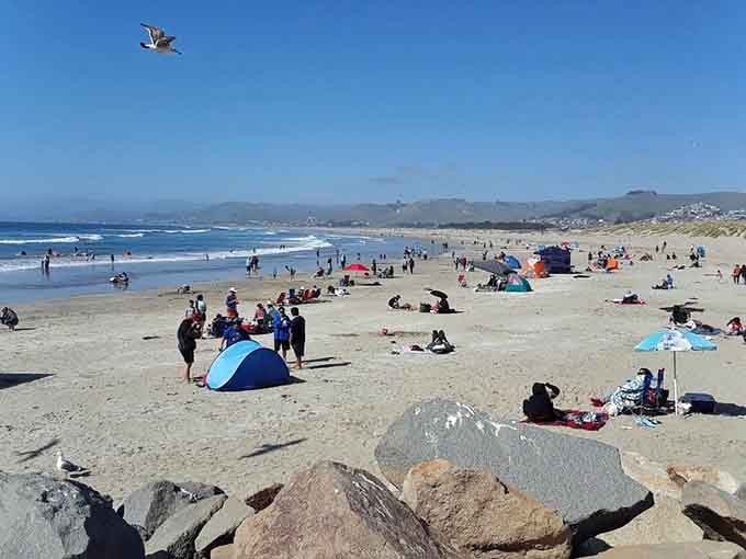 Real families claiming real sand without needing reservations or fighting crowds proves some beaches still get it right.