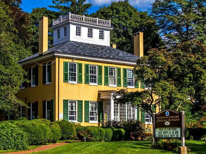 This sunny yellow mansion radiates the kind of elegance that makes you want to throw a garden party immediately.