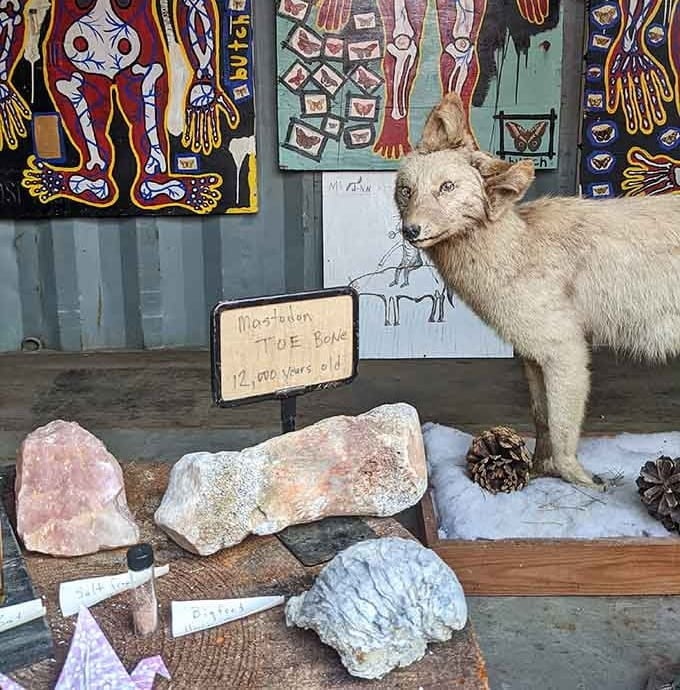 A taxidermied fox stands guard over minerals and fossils, creating the kind of natural history display museums wish they'd thought of.
