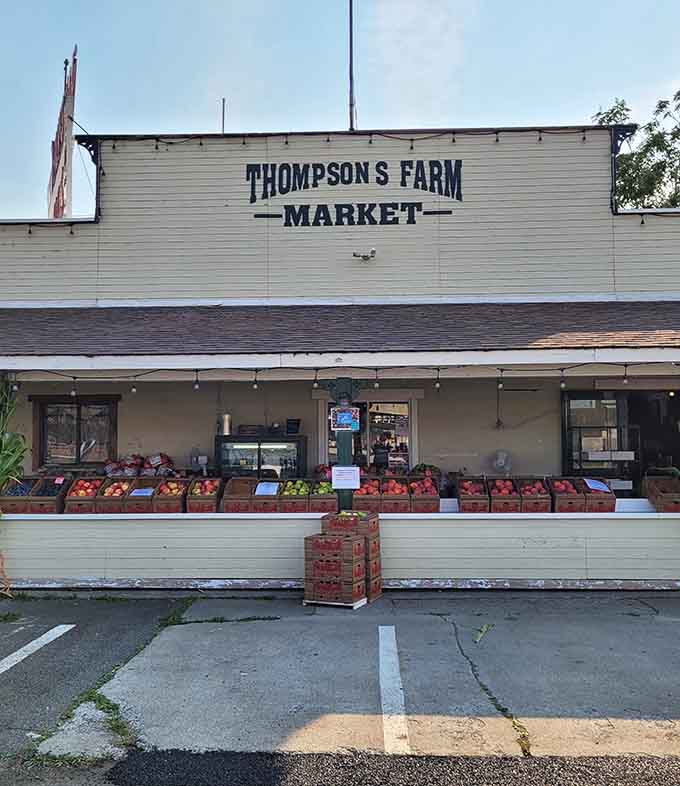 Thompson's Farm Market displays fresh local produce like edible treasures just waiting to be discovered and devoured.
