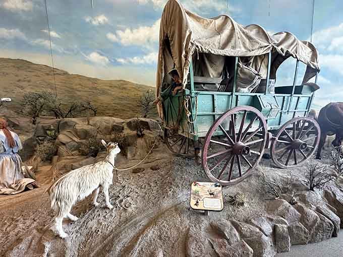 This diorama captures trail life perfectly: cramped quarters, livestock drama, and zero chance of ordering takeout for months.