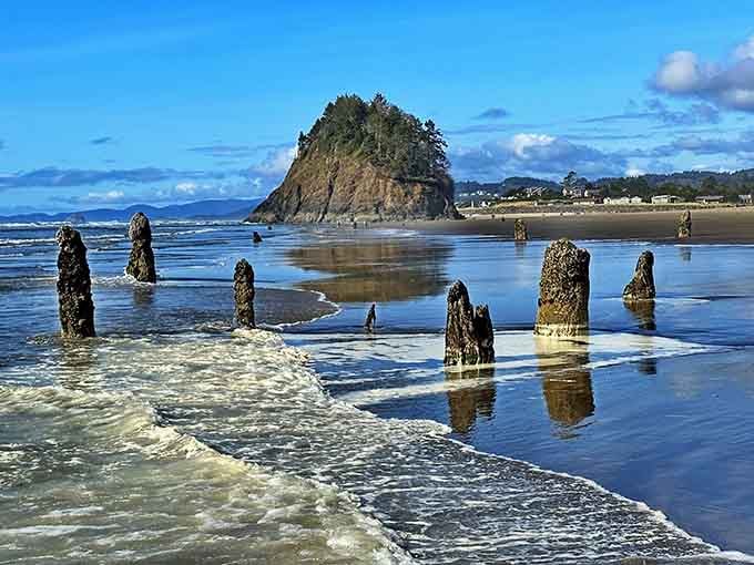 The Ghost Forest emerges at low tide like ancient sentinels, reminding us that Oregon's been dramatic for millennia.