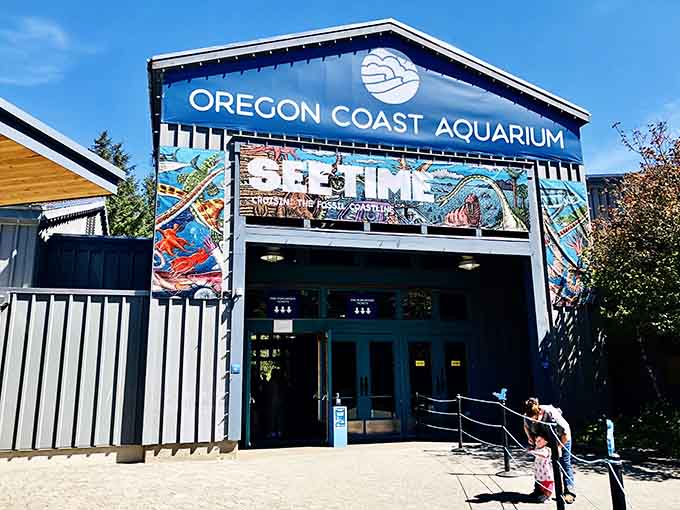 Where else can you watch sea otters hold hands and not feel guilty about your own relationship status?