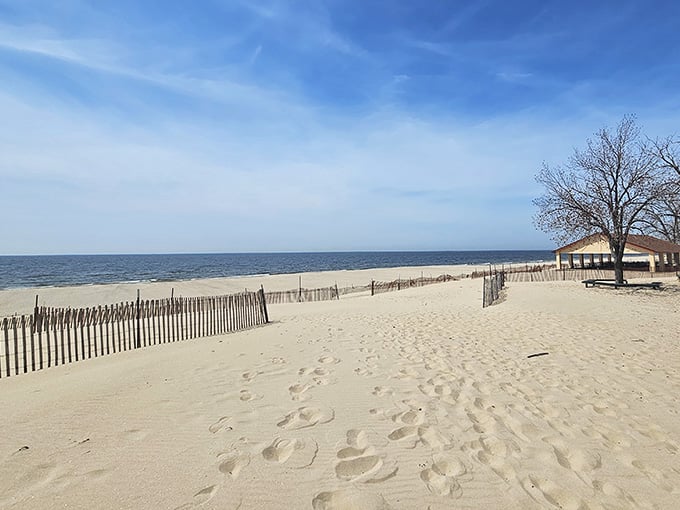 Sand fences protecting the dunes, nature's way of keeping this beach beautiful for the next hundred years.