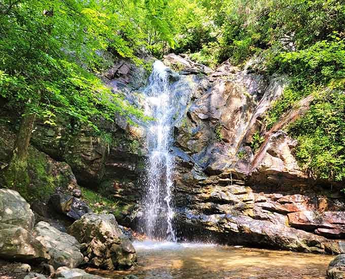 Peavine Falls cascades down like nature's own shower, minus the water pressure issues and questionable tile grout.