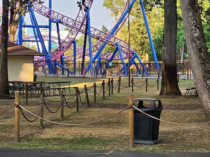 Shaded picnic areas offer refuge when you need a break from all that wholesome fun.